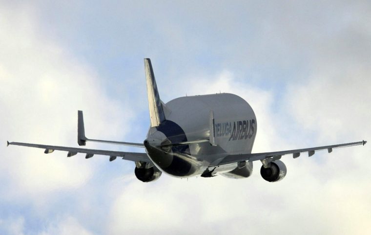 Beluga Whales Deliver Satellite Stork-Style to Florida: Eutelsat 36D ...